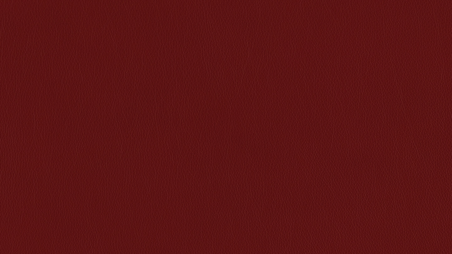 Natural product leather | W. Schillig L.P.